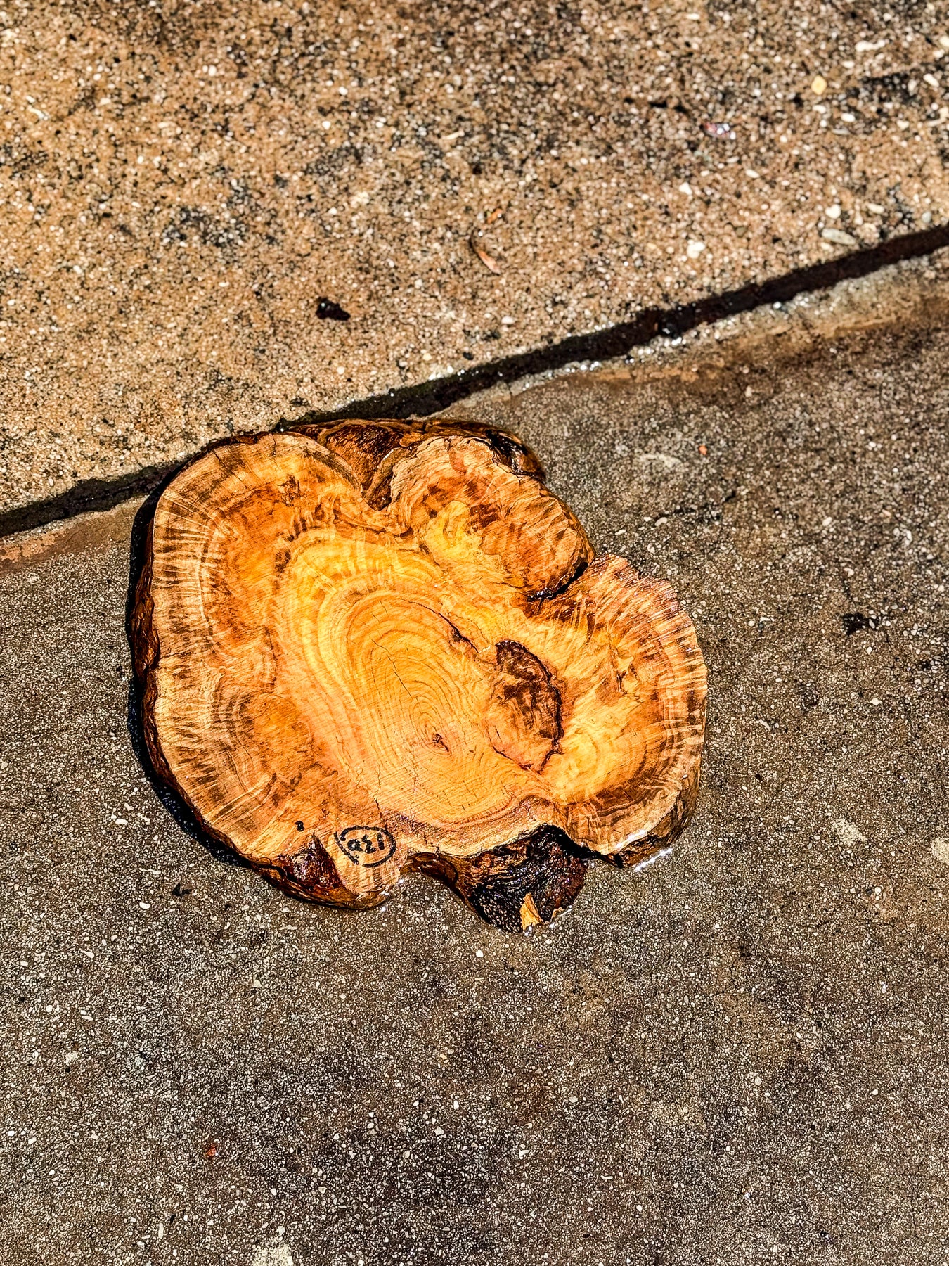 Yellowbox 130 | Health of Mind Art