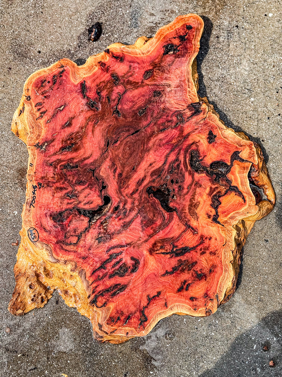 Western red gum 599 | Health of Mind Art