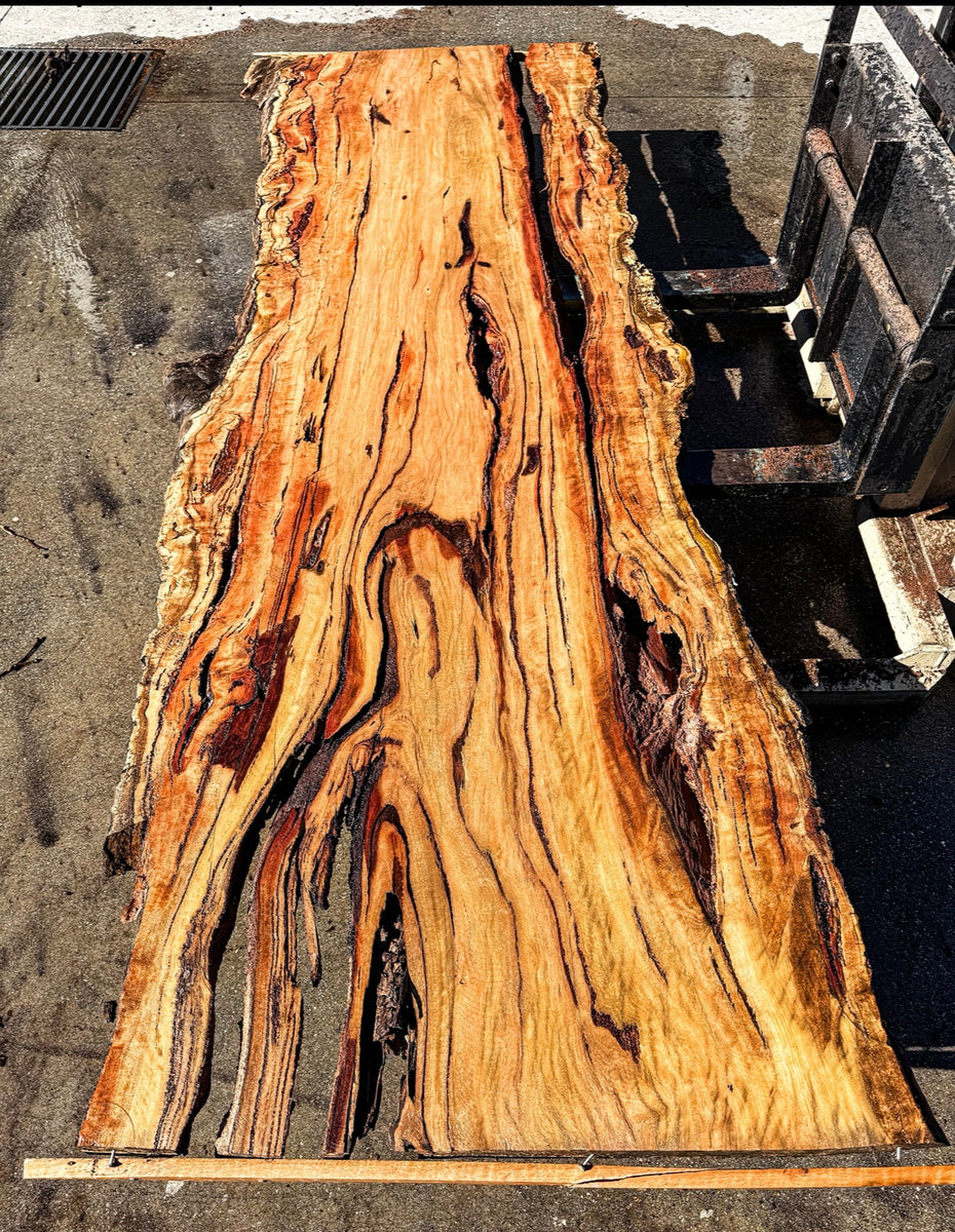 Marri feature slab | Health of Mind Art