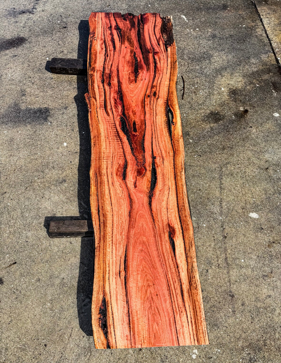 Salmon gum 754– Health of Mind Art