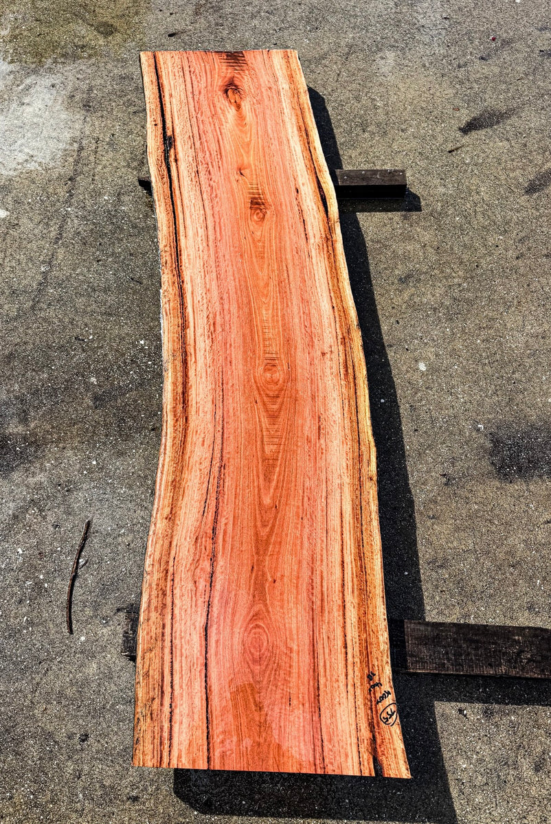 Salmon gum 755 | Health of Mind Art