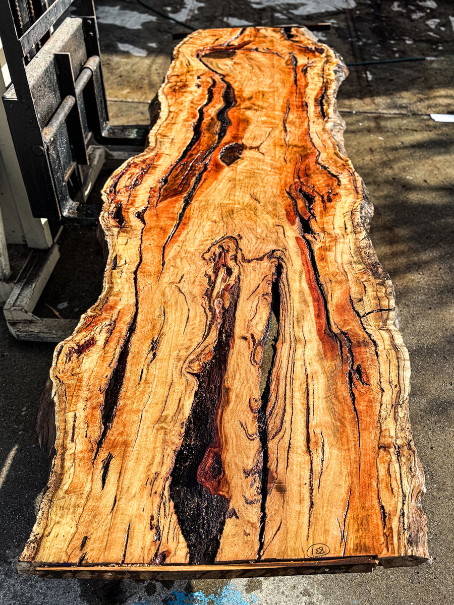 Feature Marri slab– Health of Mind Art