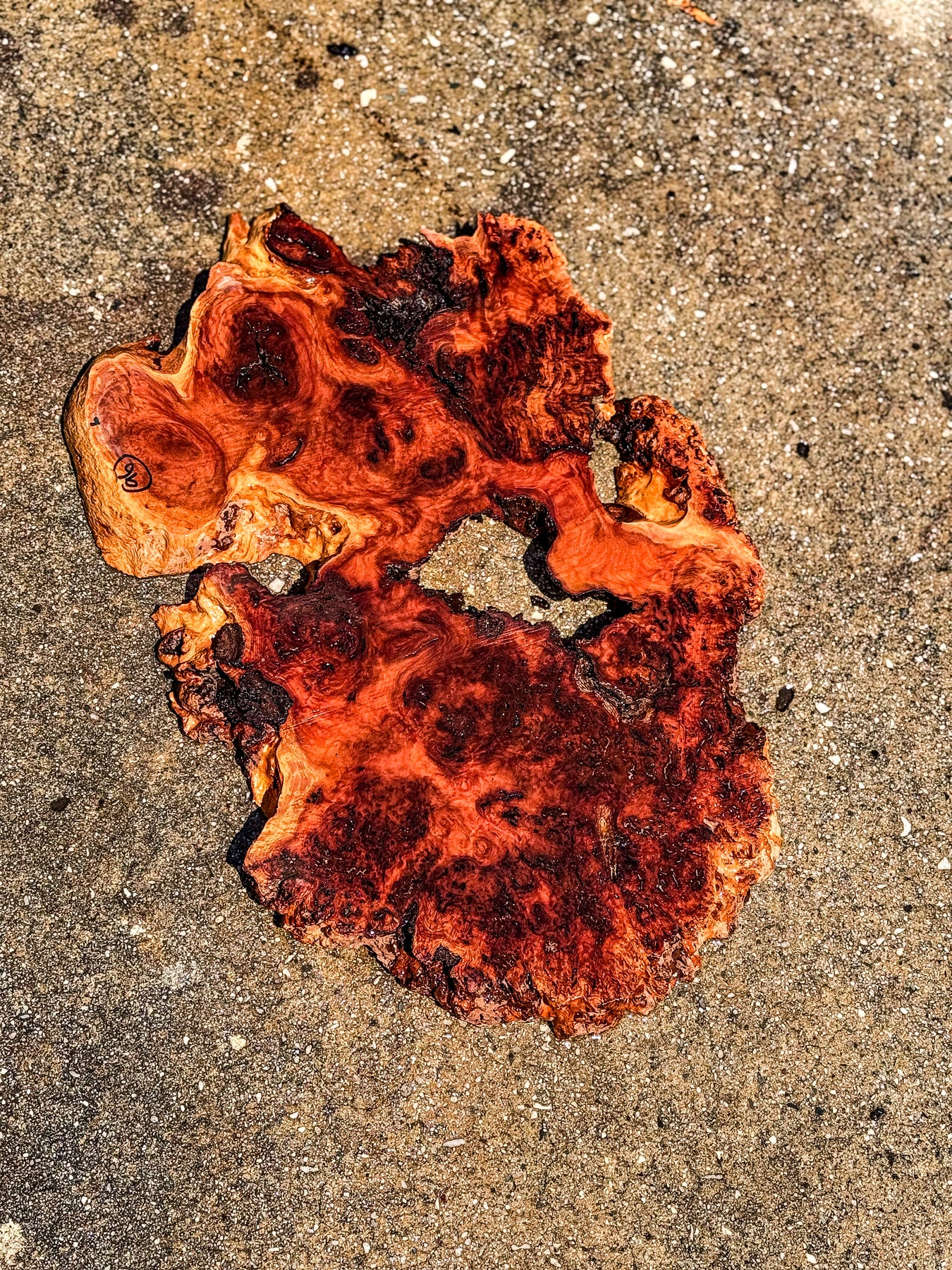 Red gum 96 | Health of Mind Art