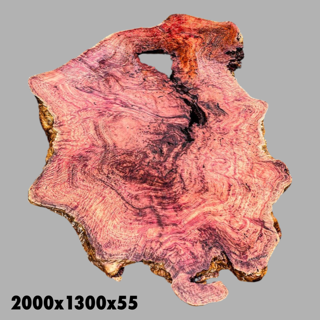 Massive red gum table top burl | Health of Mind Art