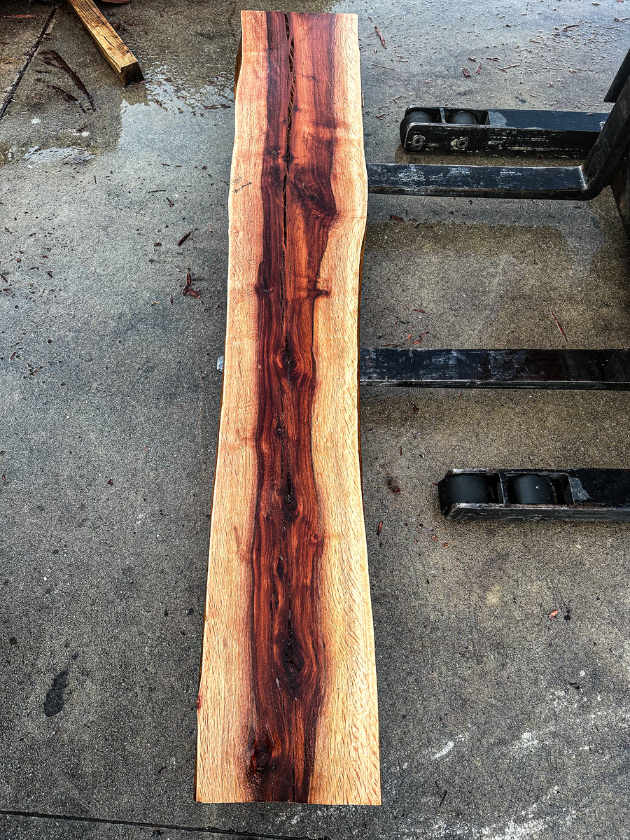 River Sheoak 3351 | Health of Mind Art