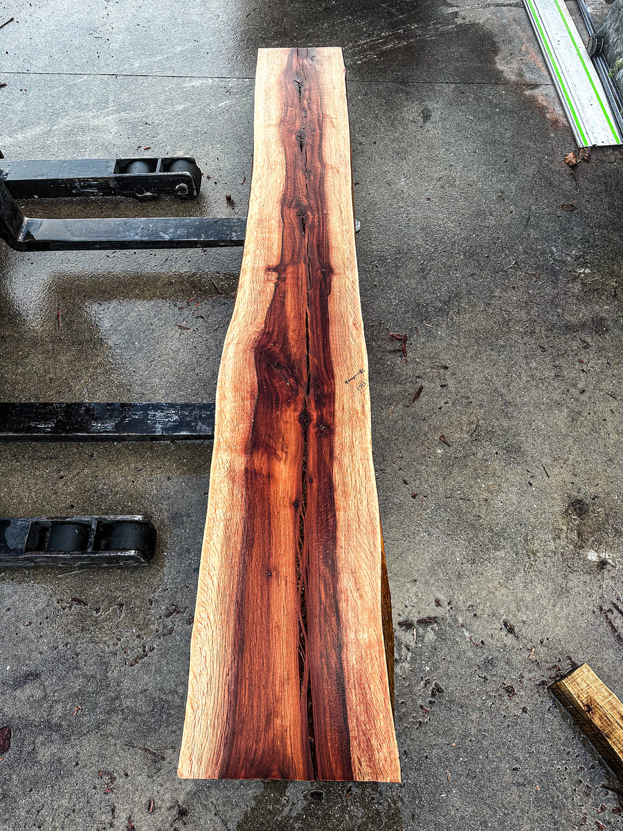 River Sheoak 3351 | Health of Mind Art