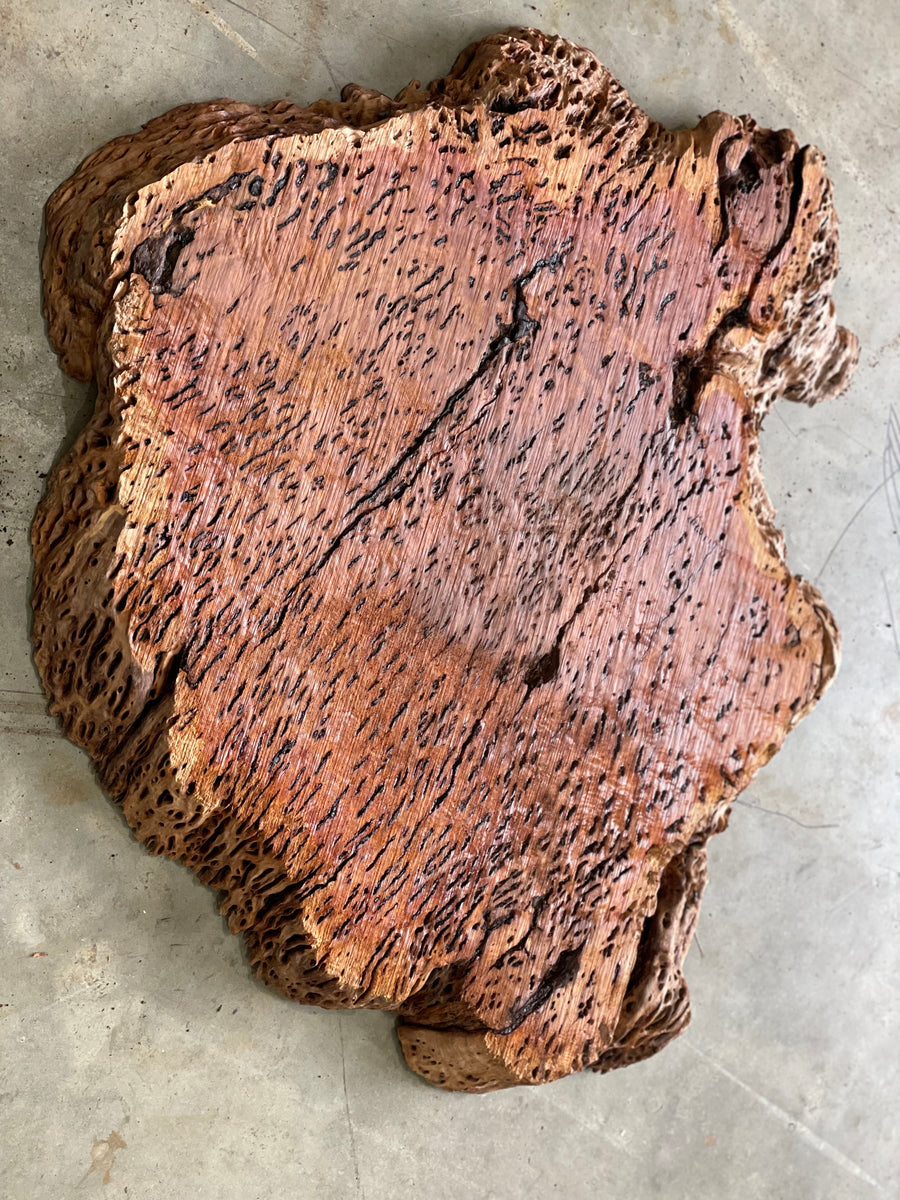 Massive burl - western red box | Health of Mind Art